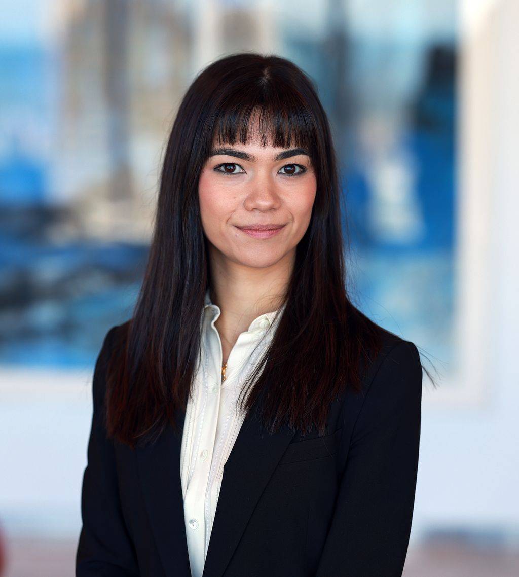 Jane Mezzino | Jenner & Block LLP | Law Firm
